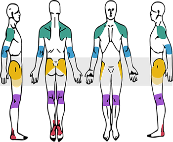 navid-body-map-colored-web-hip | Navid Mahooti